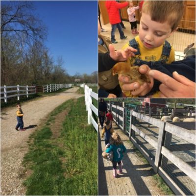 Kids Programs at Parky's Farm - Southwest Ohio Parent Magazine