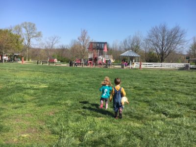 Check out Parky's Farm this summer!