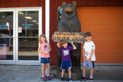 Stricker's Grove