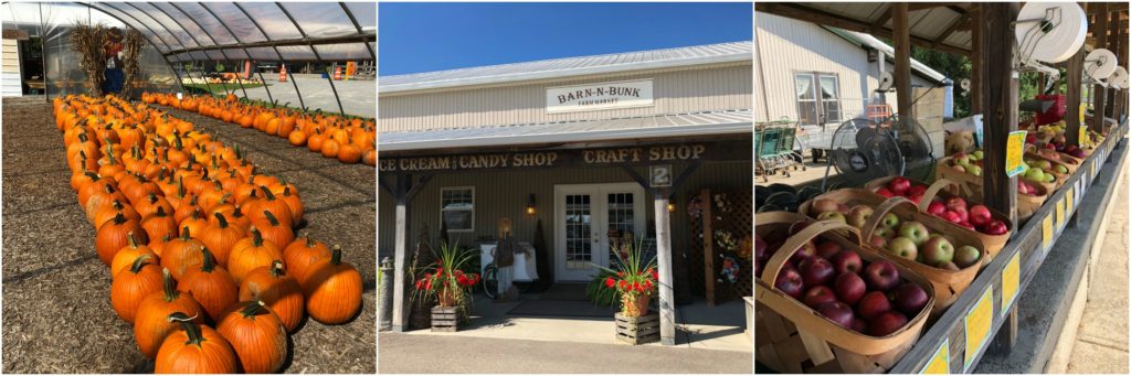 Barn-N-Bunk Collage 1 - Southwest Ohio Parent Magazine