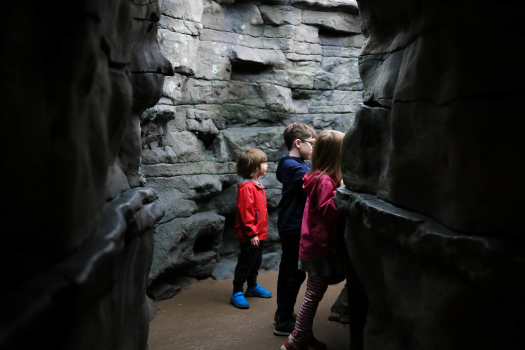 Cincinnati Museum Center’s Cave is back! - Southwest Ohio Parent Magazine
