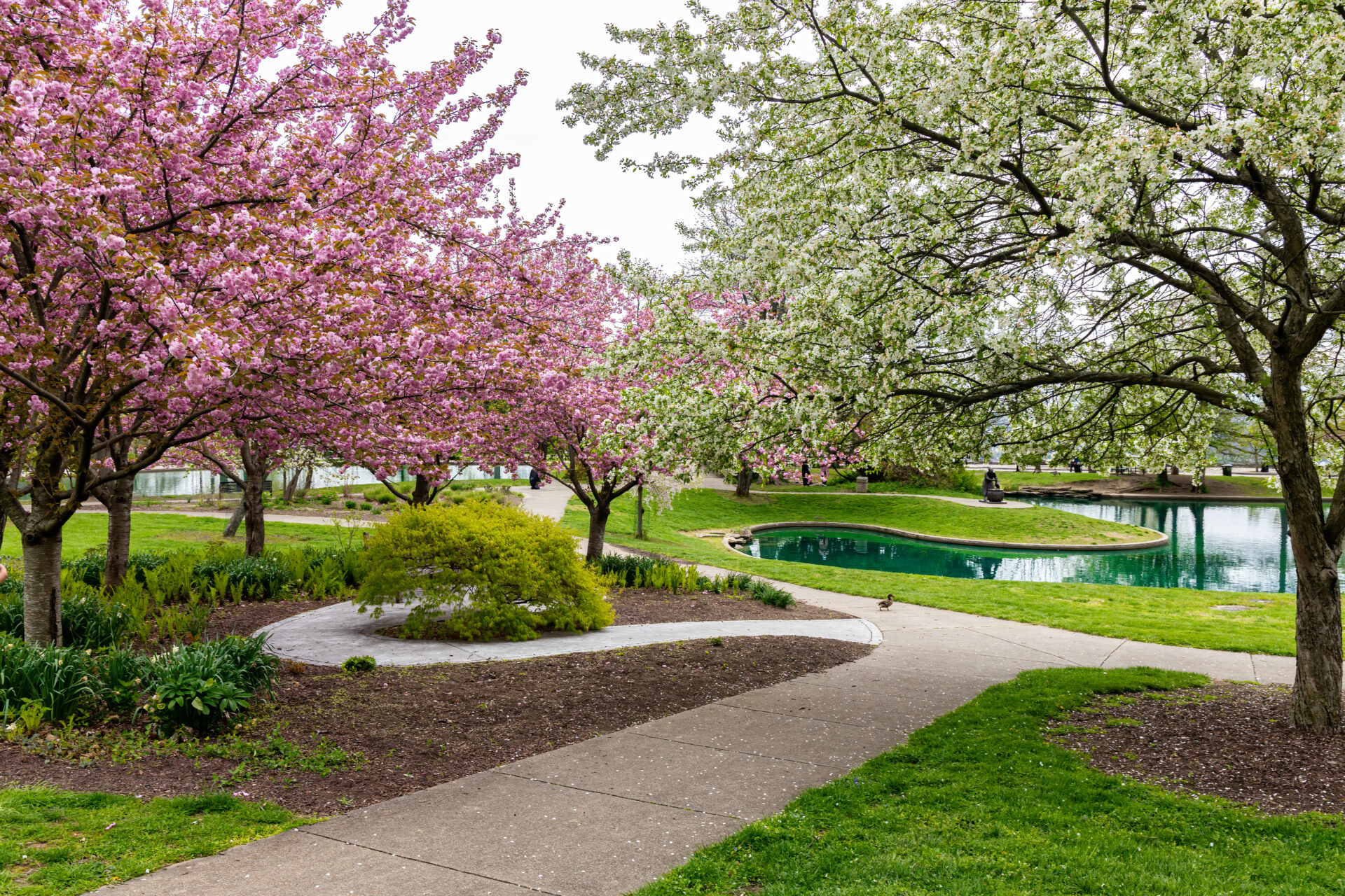 Where to See the Best Spring Blooms in Cincinnati and Dayton ...