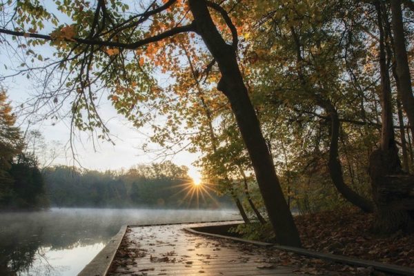 One-Tank Trips for Ultimate Fall Foliage Viewing around Cincinnati