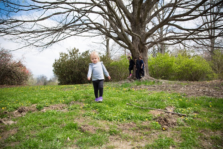 Hidden Gems: Mt. Airy Forest - Southwest Ohio Parent Magazine