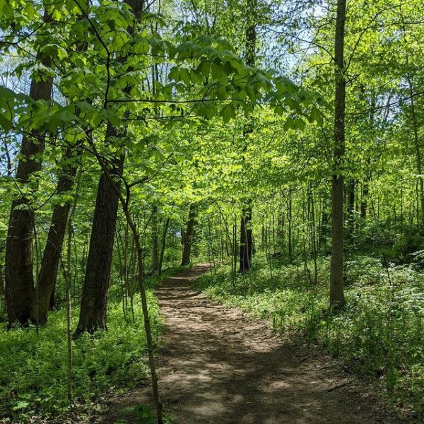 Top 10 Family Friendly Hiking Trails in Dayton - Southwest Ohio Parent ...