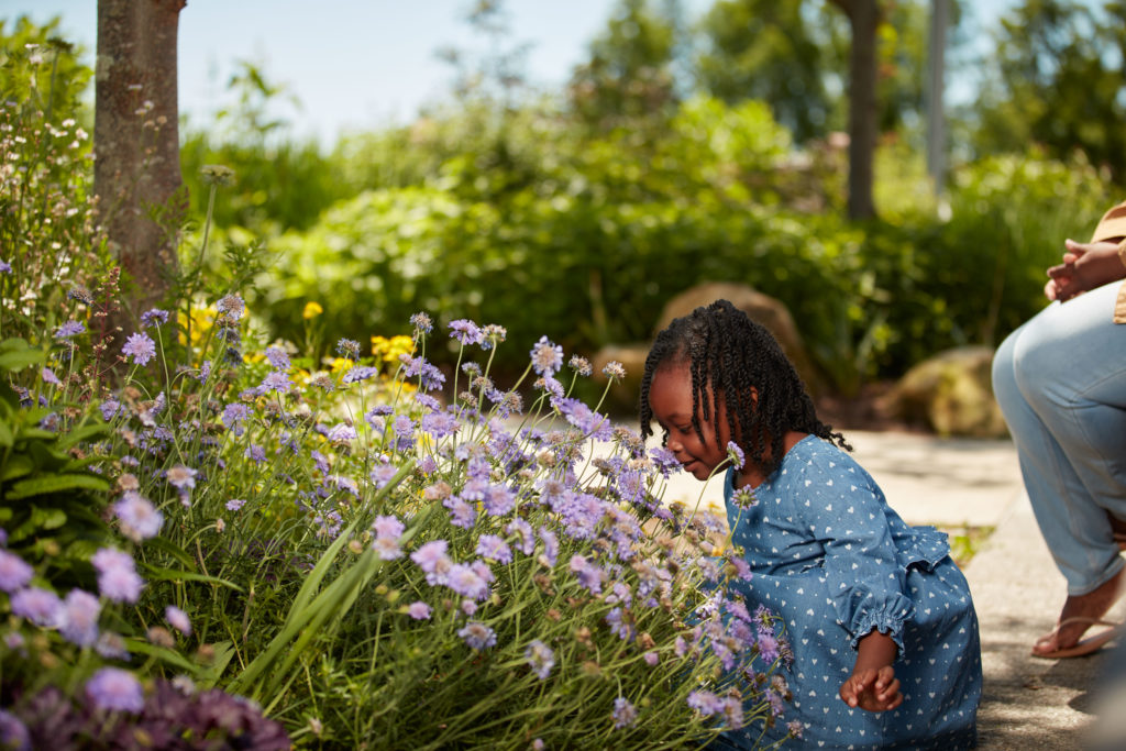 Get Outside and Enjoy Over 100 Free Activities During Great Outdoor ...