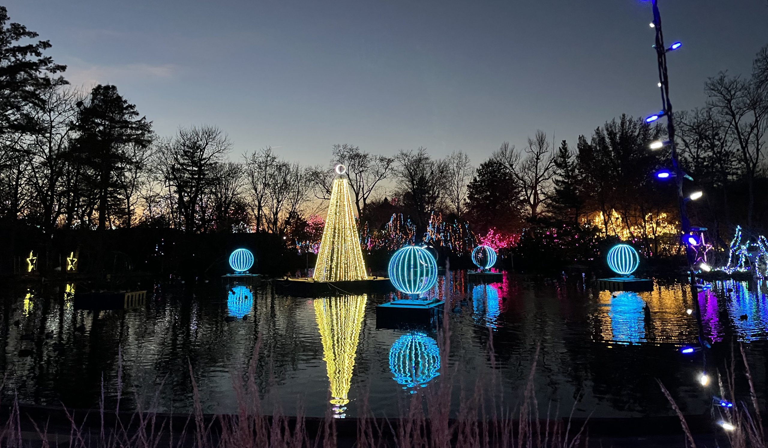 Festival of Lights at the Cincinnati Zoo - Southwest Ohio Parent Magazine