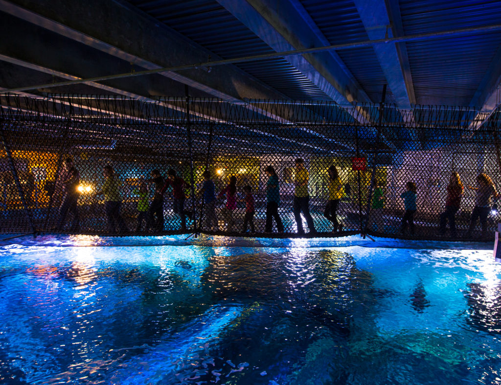 Shark Summer Returns to Newport Aquarium - Southwest Ohio Parent Magazine