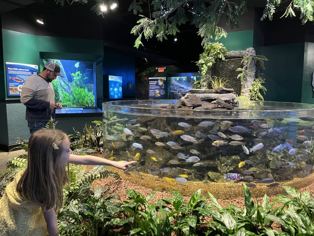 Newport Aquarium: New Baby Animals in Hatchling Harbor - Southwest Ohio ...