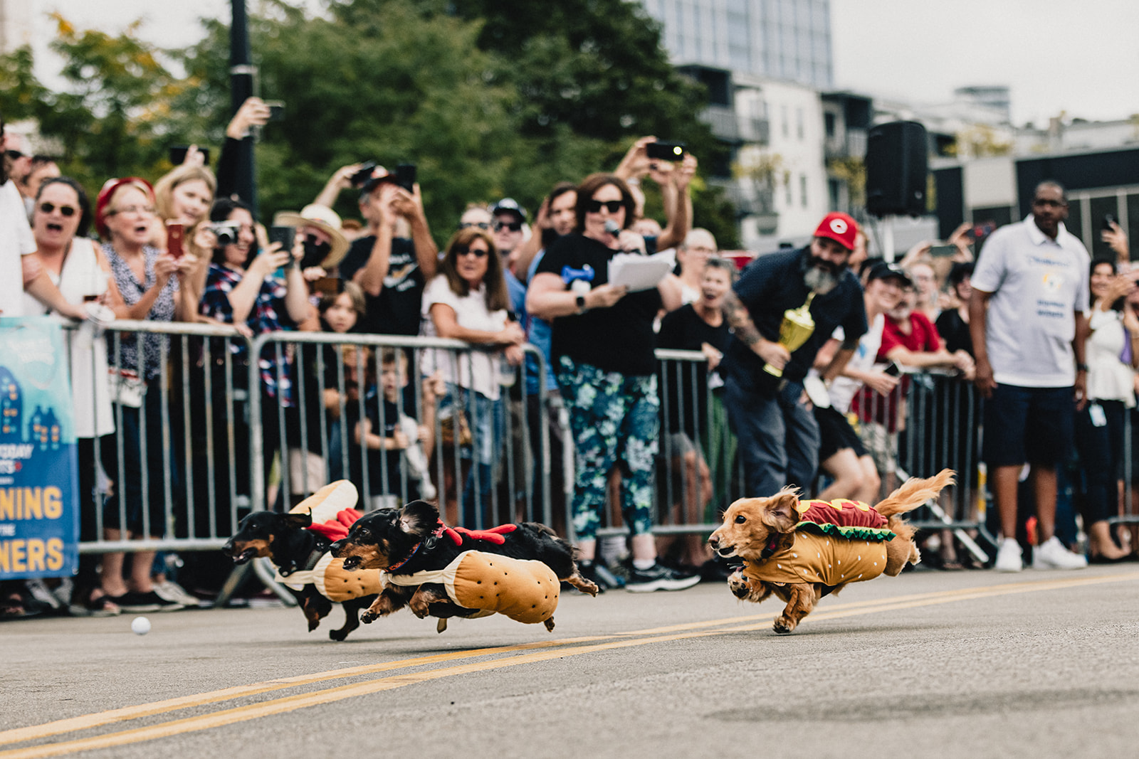 Oktoberfest Zinzinnati Gets Bigger and Better this September ...