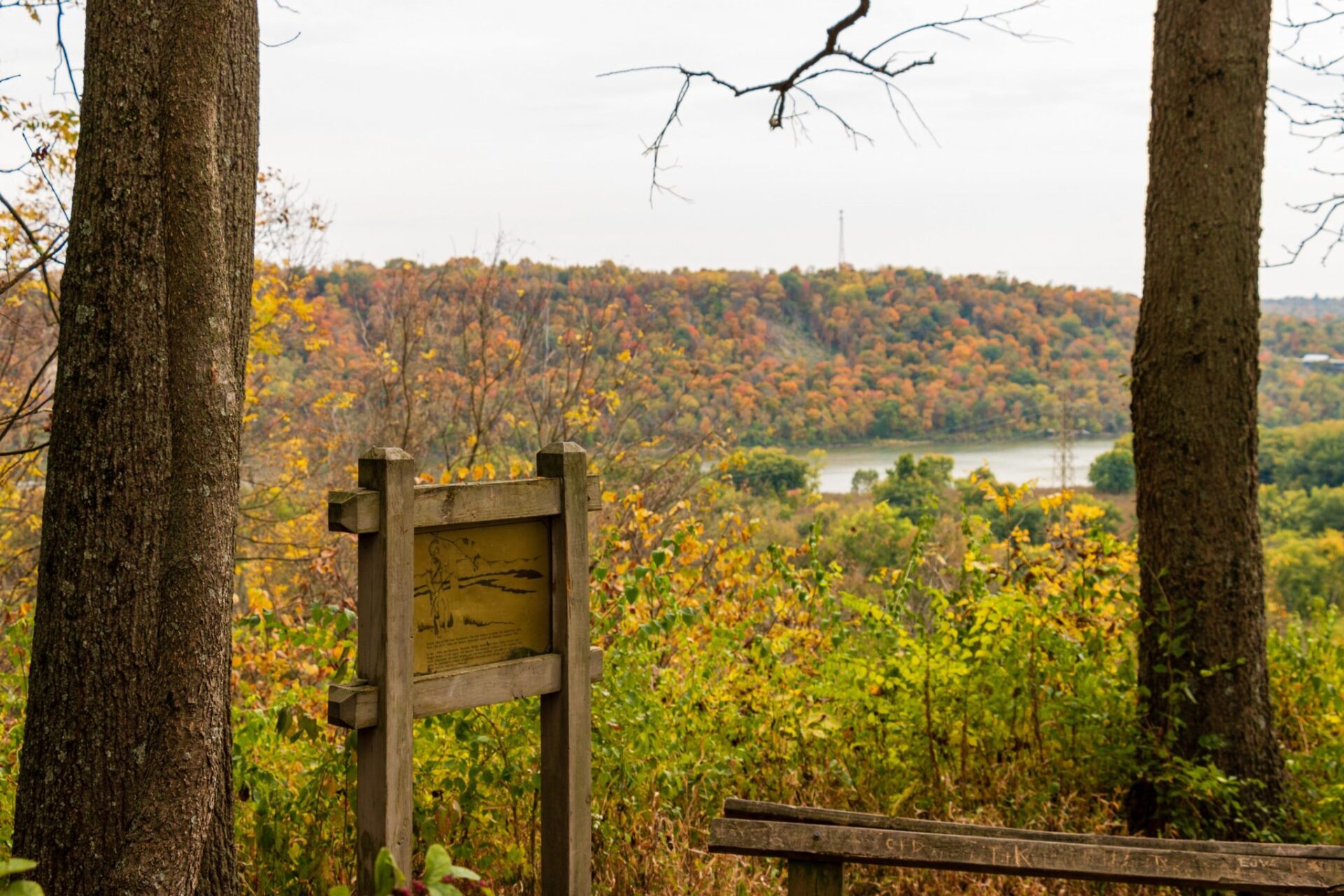 One-Tank Trips for Ultimate Fall Foliage Viewing around Cincinnati