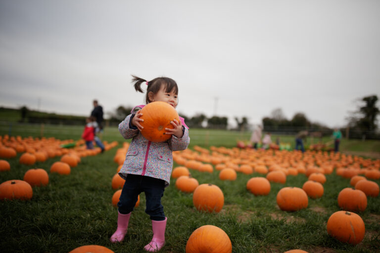 Best Pumpkin Patches in Cincinnati (2025 Guide)
