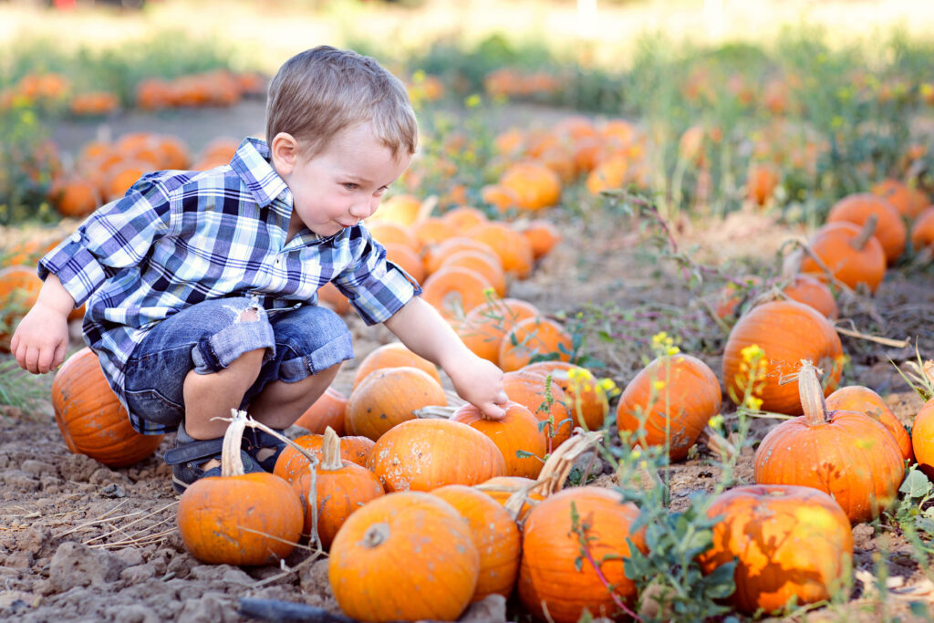 Guide to Pumpkin Patches around Cincinnati and Dayton