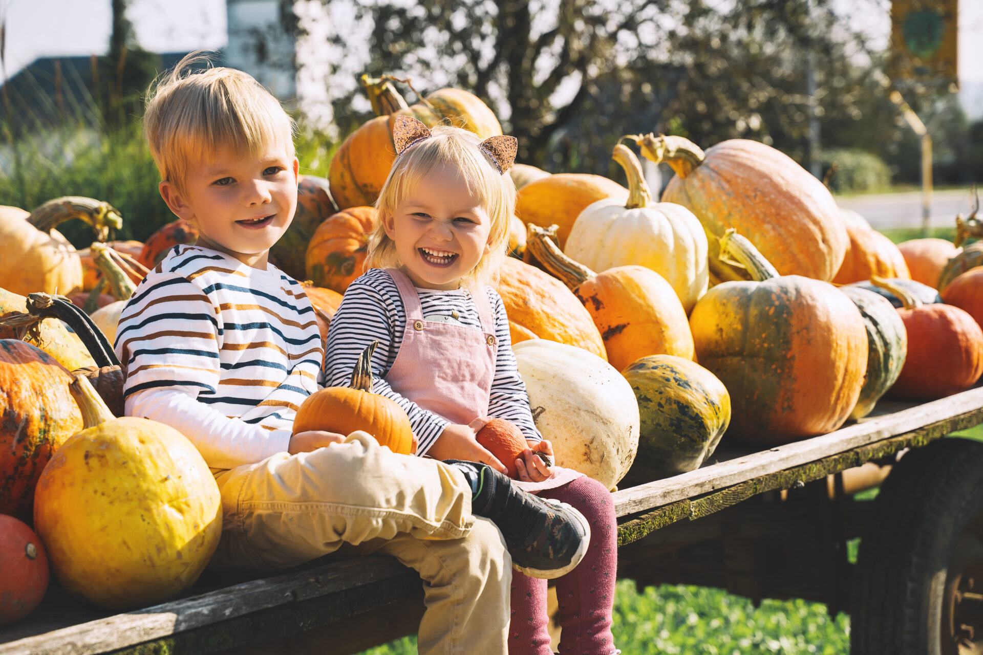 Best Pumpkin Patches in Cincinnati (2025 Guide)