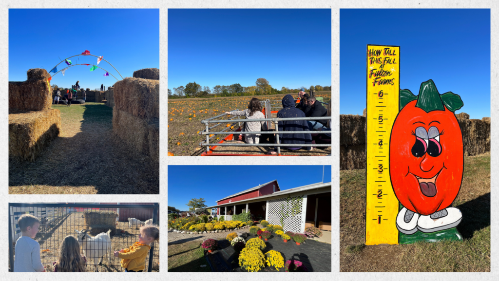 Finish the Season Strong at Fulton Farm's Fall Festival - Southwest ...