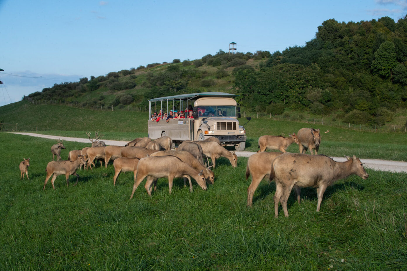 Unique Animal Encounters Near Cincinnati & Dayton - Southwest Ohio ...