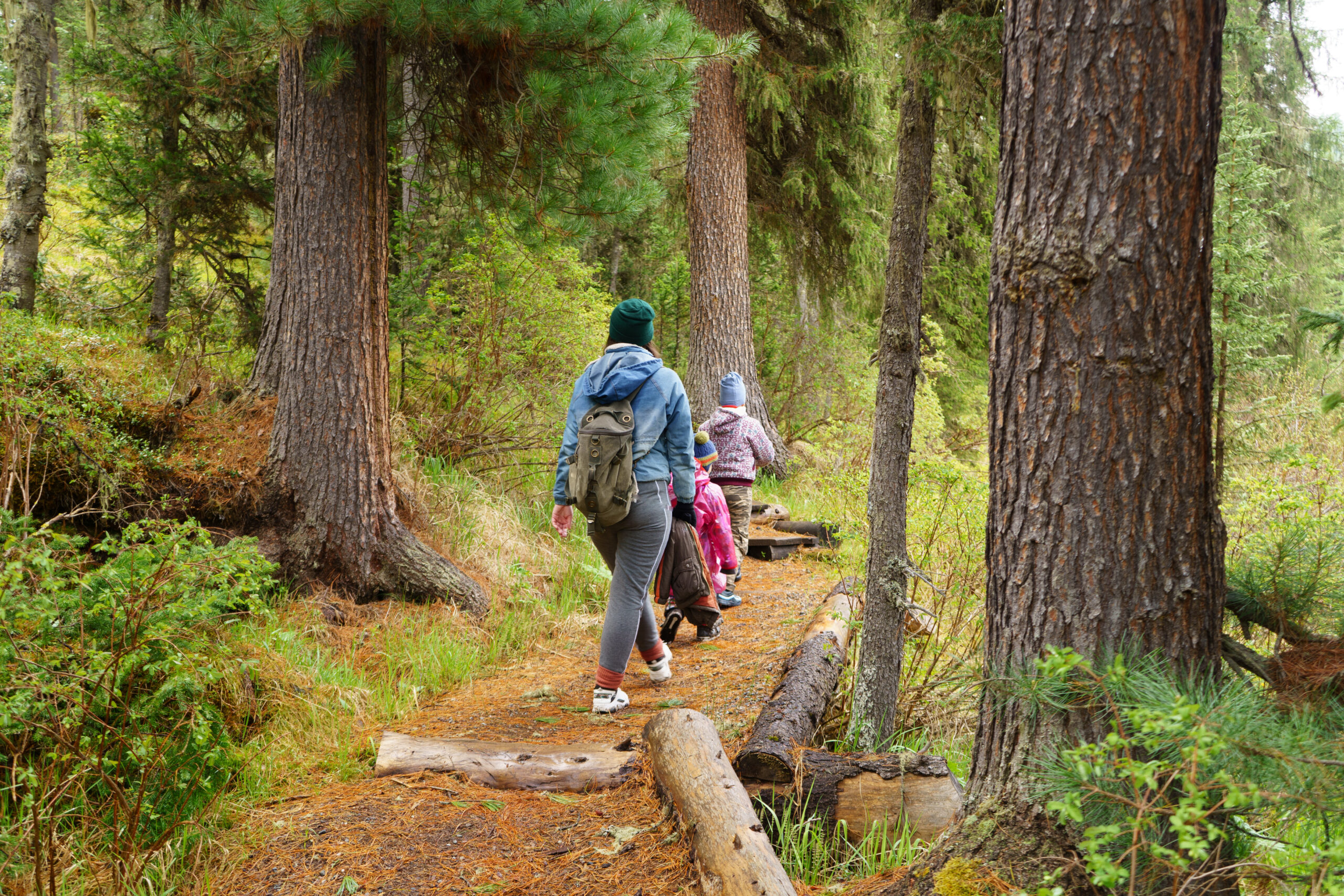family hiking in forest - Southwest Ohio Parent Magazine