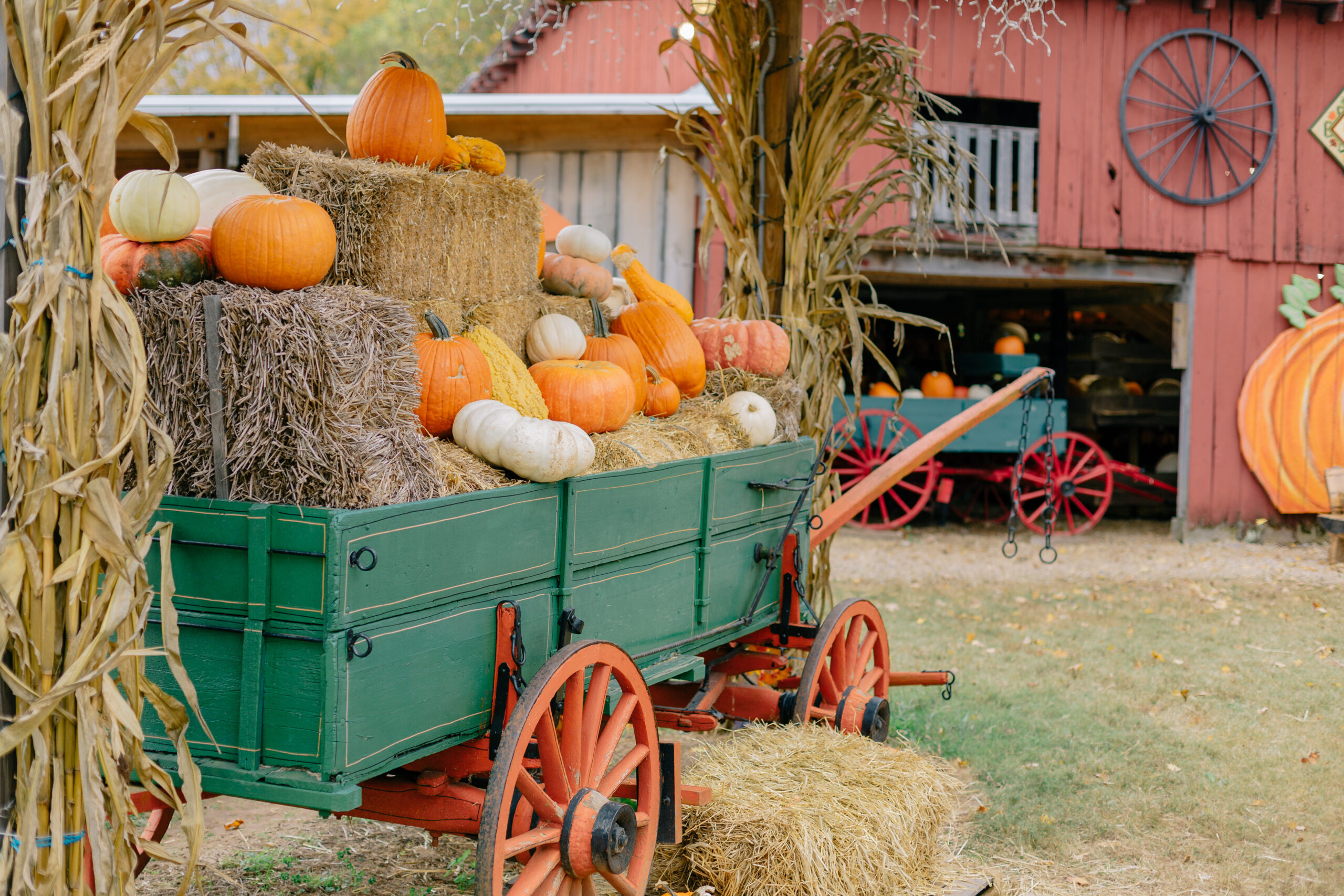Fall Fun at Local Farms: Best Places for Animals, Apples & Activities
