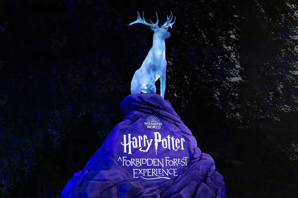 Harry Potter: A Forbidden Forest Experience Brings Magic to Cincinnati Families